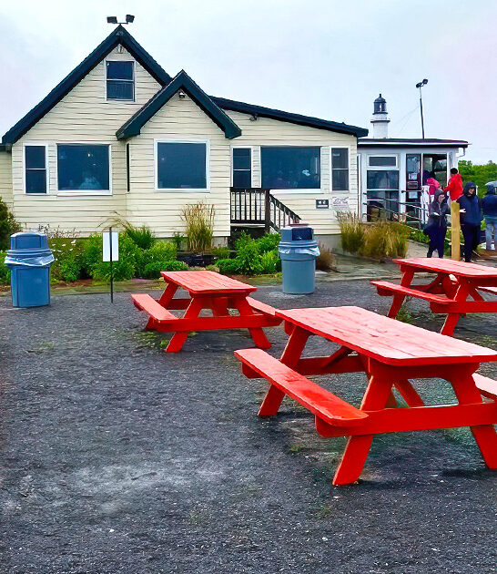 strawberry rhubarb pies maine ftr