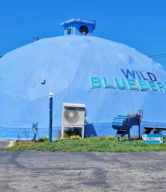 tiny blueberry museum maine ftr