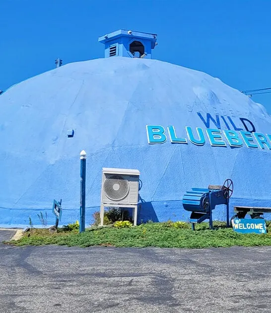 tiny blueberry museum maine ftr