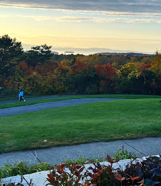 underrated park views vermont ftr