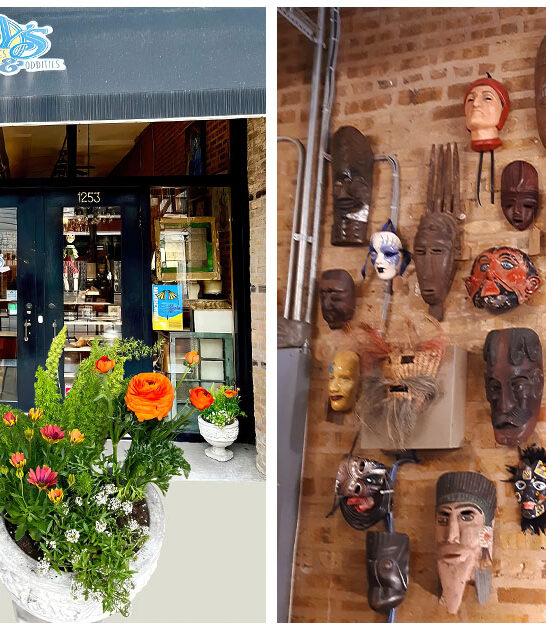 unique-antique-store-illinois FTR
