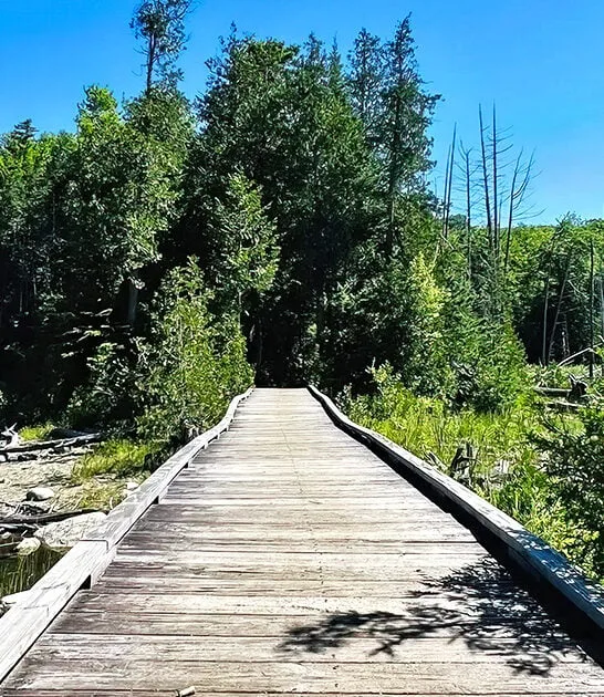 vermont trail clifftop views ftr