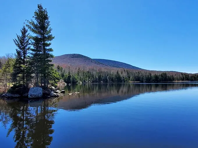Nature's mirror: Seyon Lodge's pristine lake reflects towering evergreens and mountain slopes, creating a double dose of Vermont splendor.