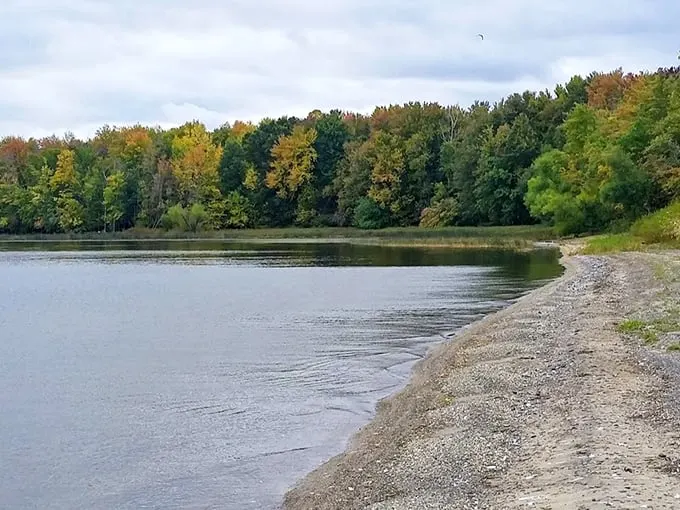 Where Lake Champlain meets untamed wilderness—a pristine shoreline that makes you forget your phone exists.