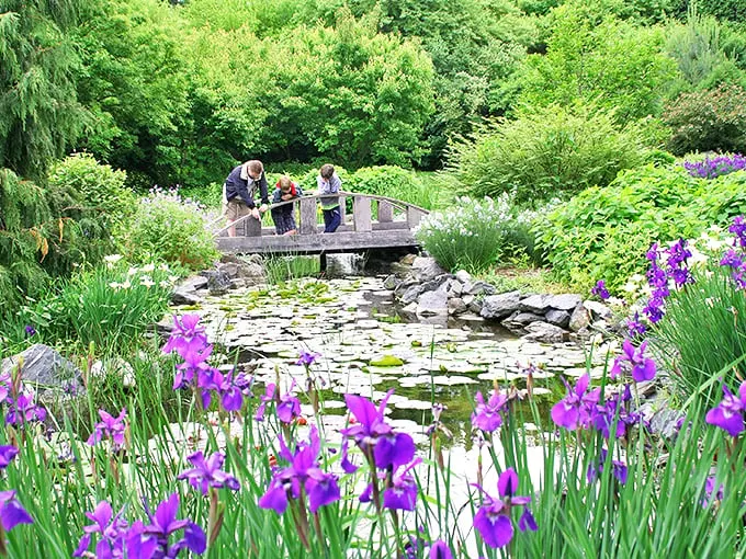 Nature's red carpet moment! This charming bridge invites you to cross into a world where every step feels like a brushstroke in a living masterpiece.