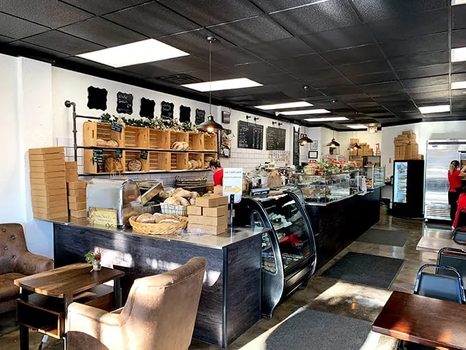 A quiet moment in the café, ready to welcome new stories, new faces, and plenty of good eats.