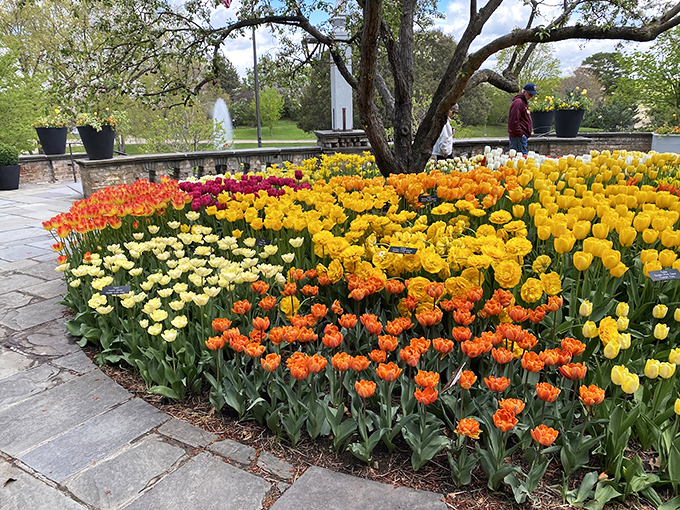 A kaleidoscope of colors greets you. It's like stepping into a living, breathing painting!