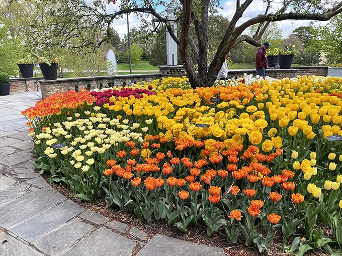 A kaleidoscope of colors greets you. It's like stepping into a living, breathing painting!