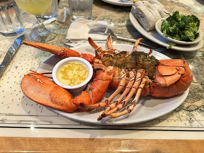 Ladies and gentlemen, the star of the show! This lobster isn't just dinner—it's a crimson-clad celebration of the sea.