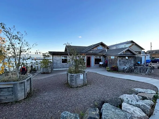 angry trout cafe 2