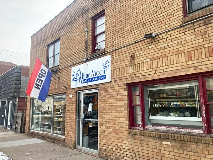 blue moon books 1