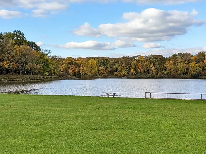 busse woods 1