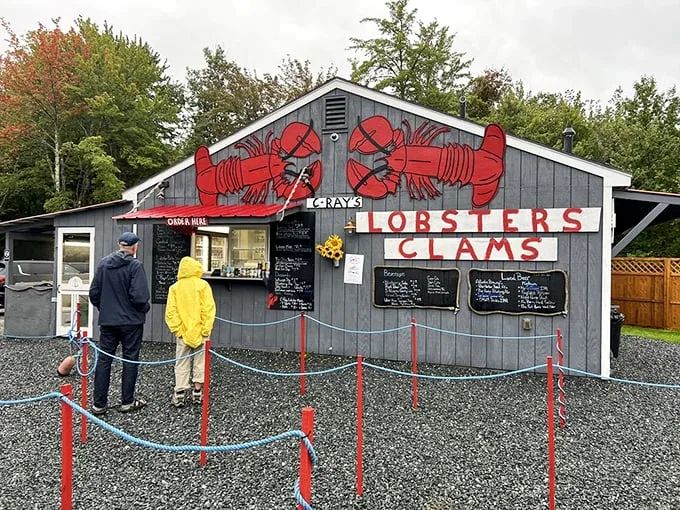 c ray lobster 1