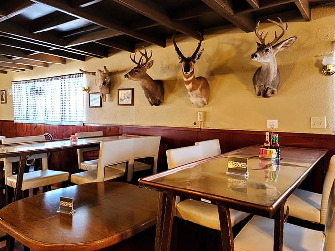 chuckwagon grill 2