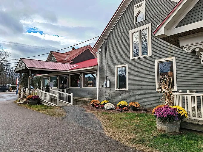 cold hollow cider mill 1