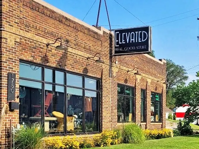 elevated grand rapids 1
