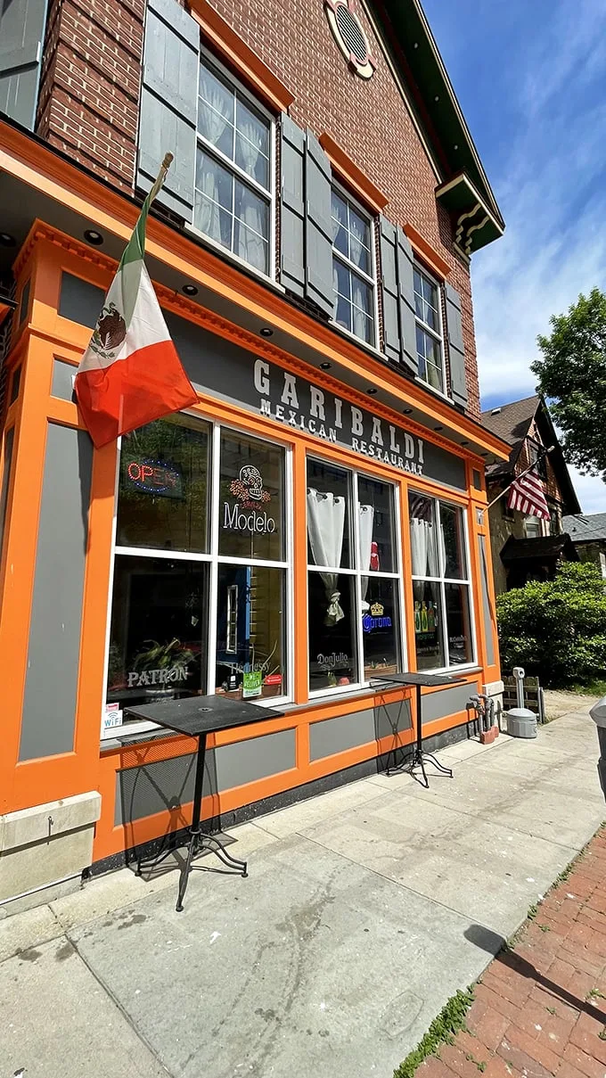 garibaldi 1
