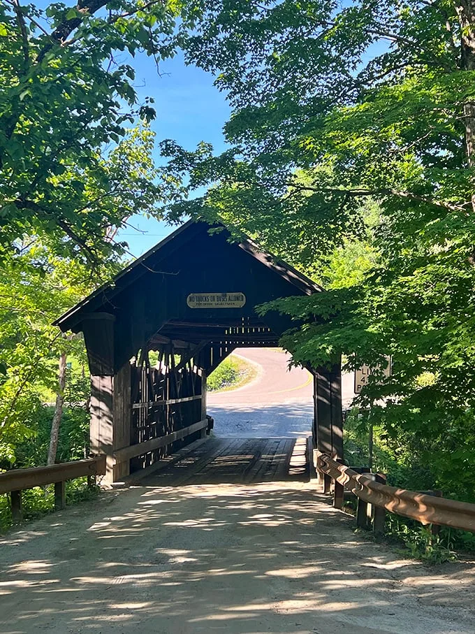 gold brook covered bridge 9