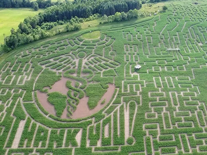great vermont corn maze 1