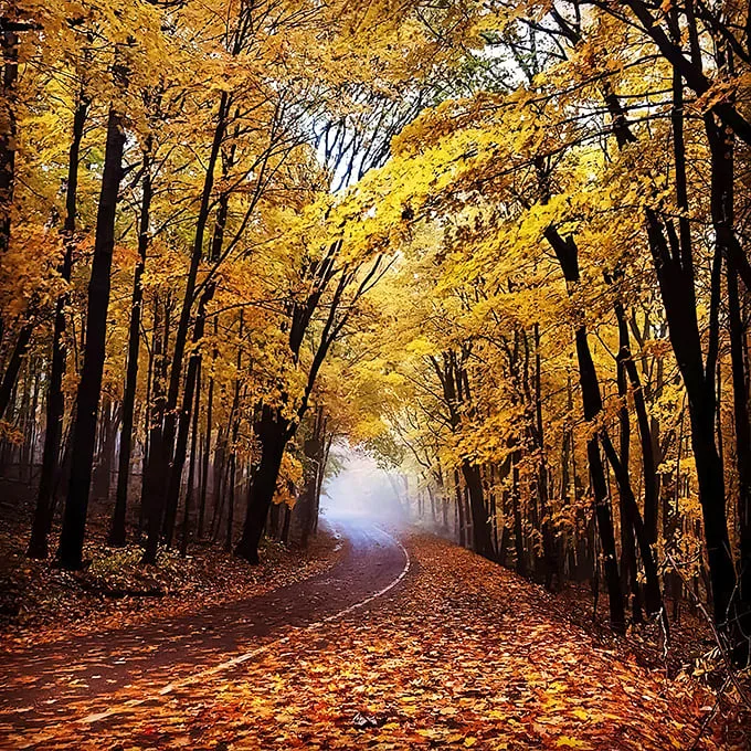 hilltop fall color tour 1