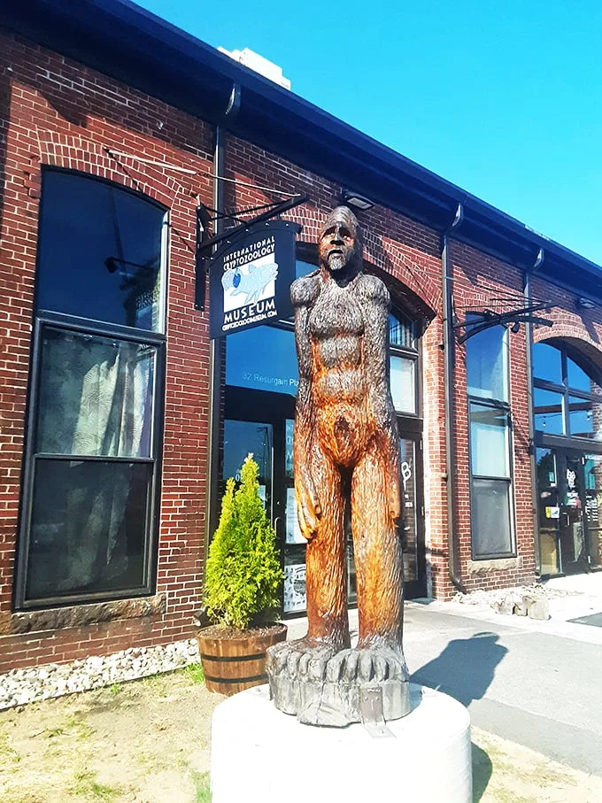 international cryptozoology museum 1