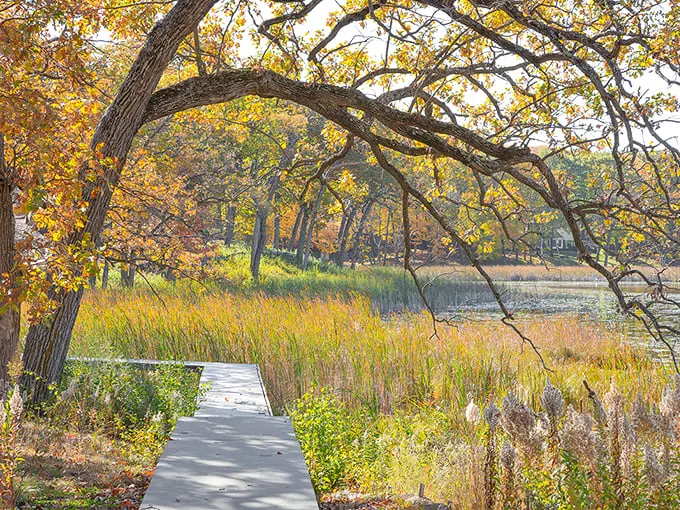 lake marion regional park 1