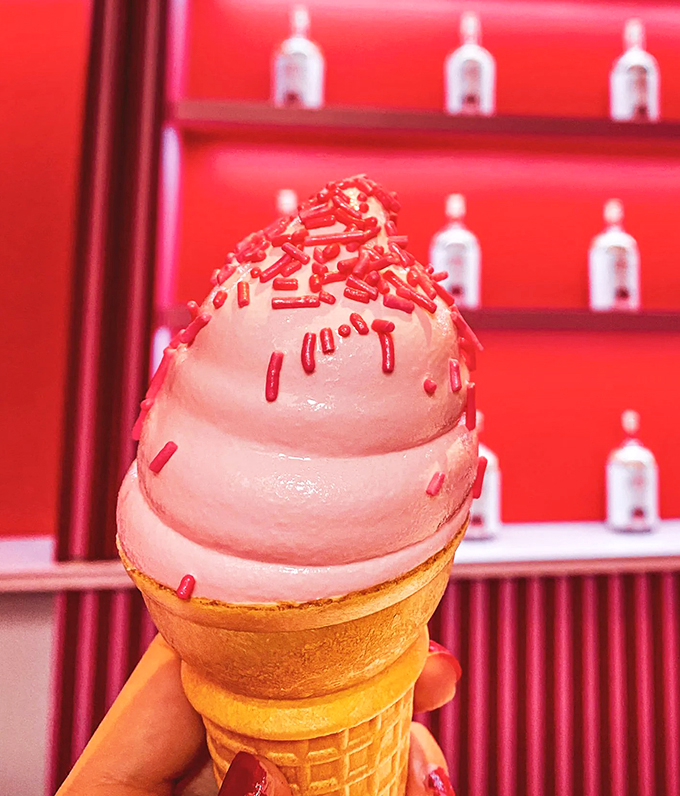 museum of ice cream 5