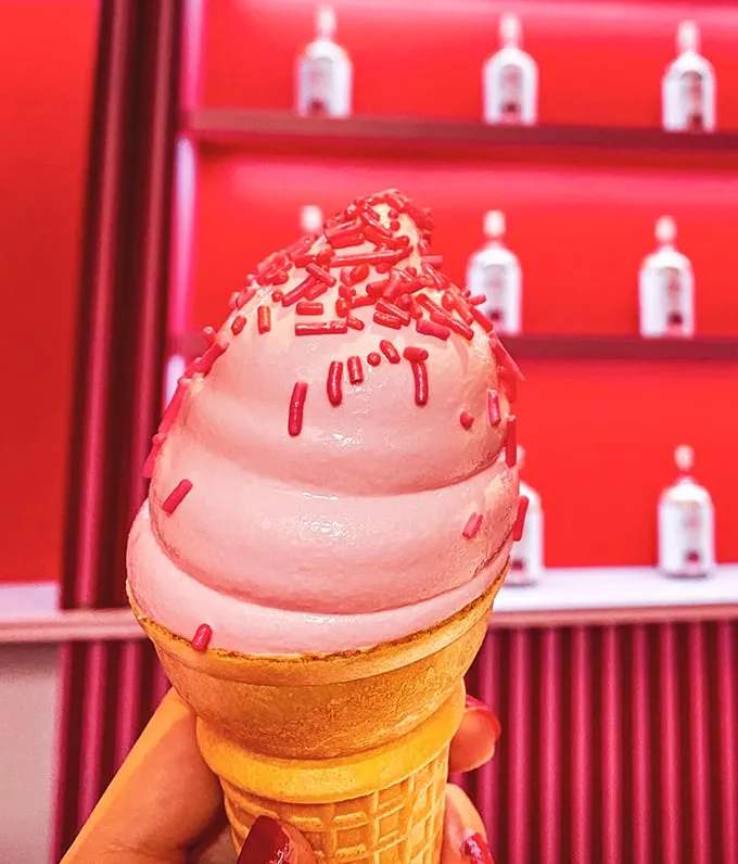 museum of ice cream 5