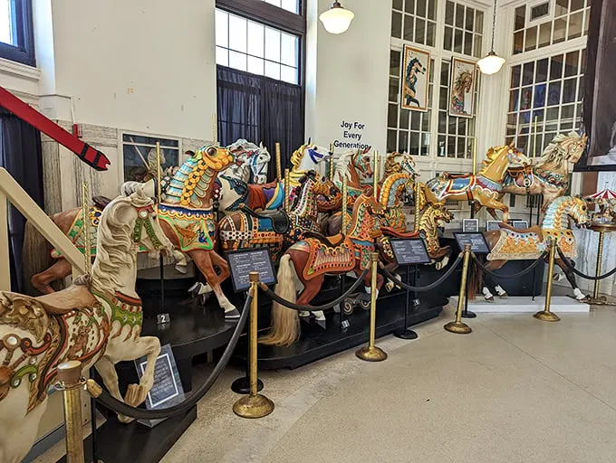 merry go round museum 2