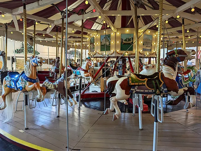 merry go round museum 3