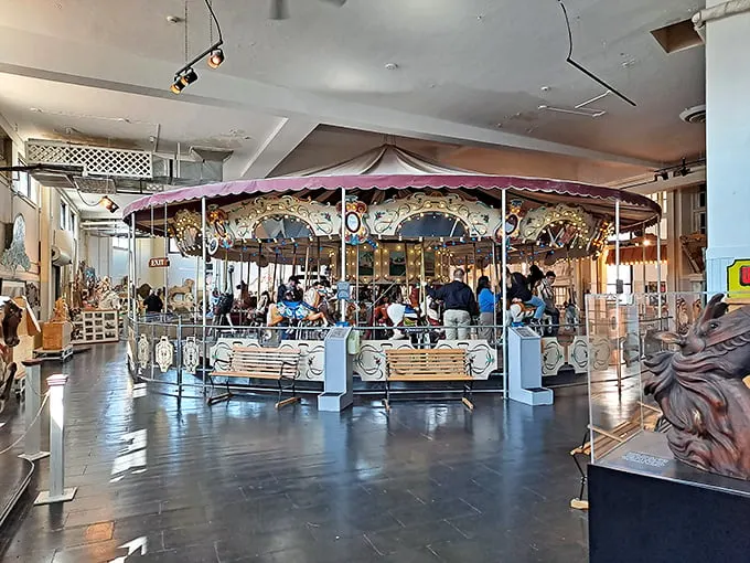 merry go round museum 5