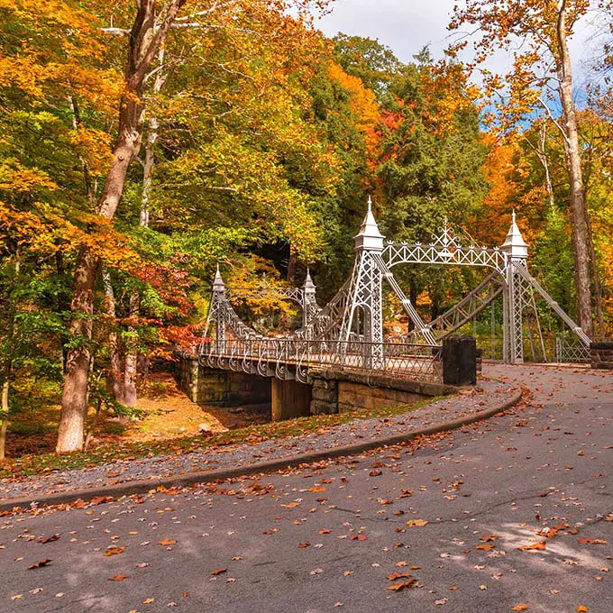mill creek park suspension bridge 1