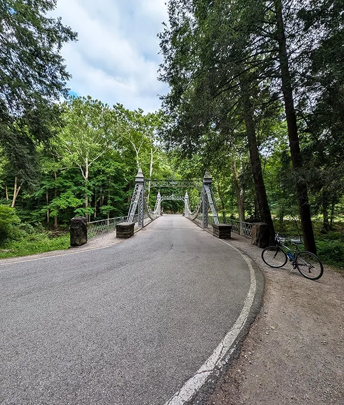 mill creek park suspension bridge 3