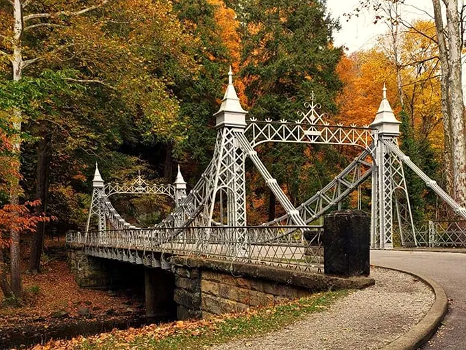 mill creek park suspension bridge 5