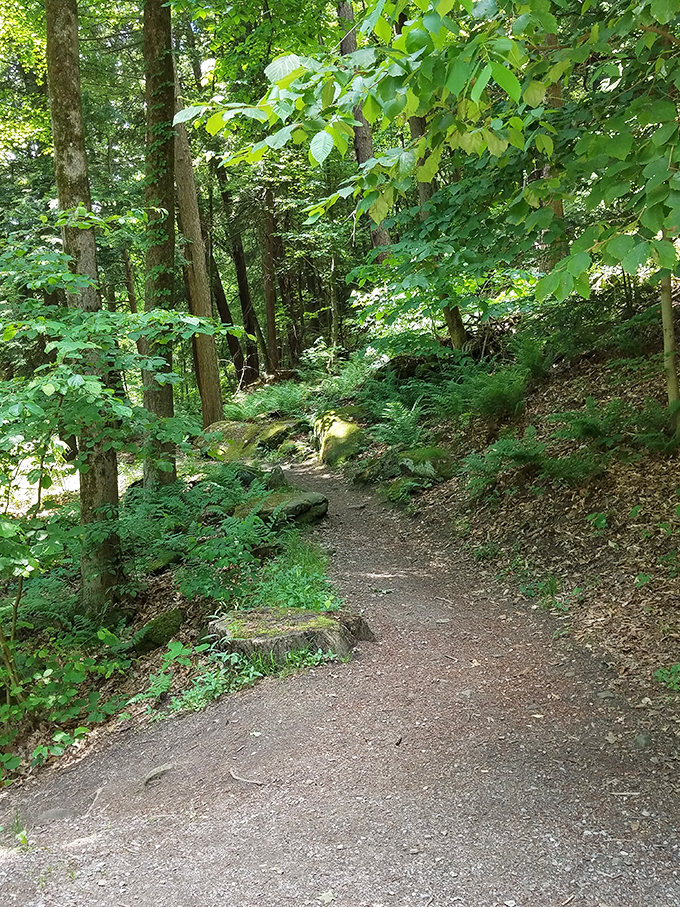 mill creek park suspension bridge 7