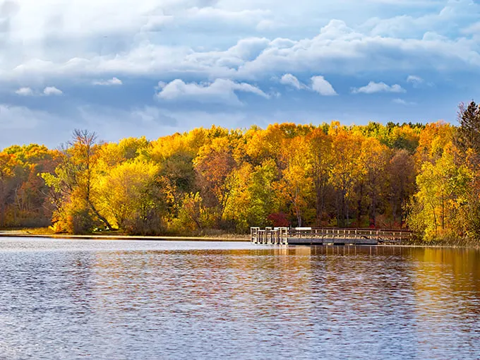 moose lake state park 1
