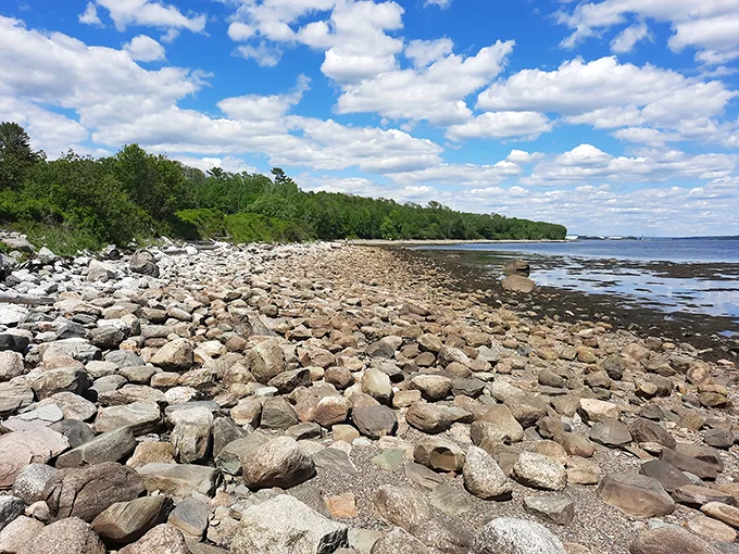 moose point state park 1