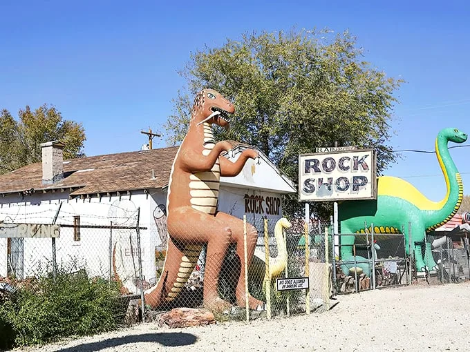 rainbow rock shop 1