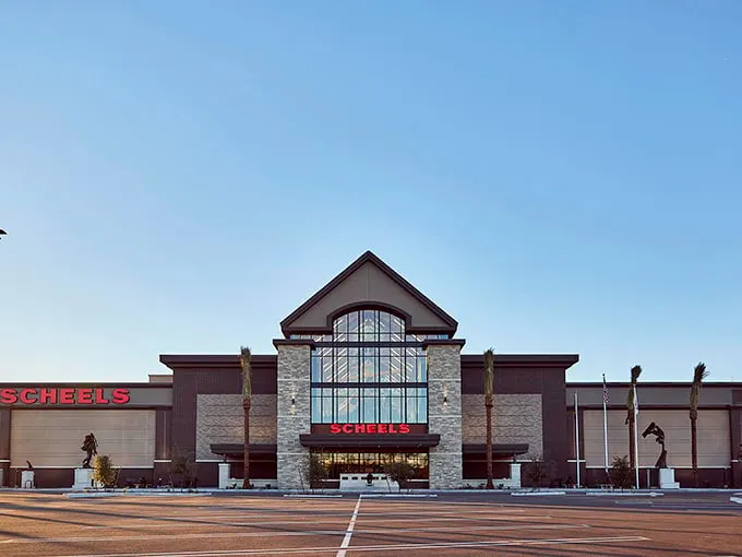 scheels 1