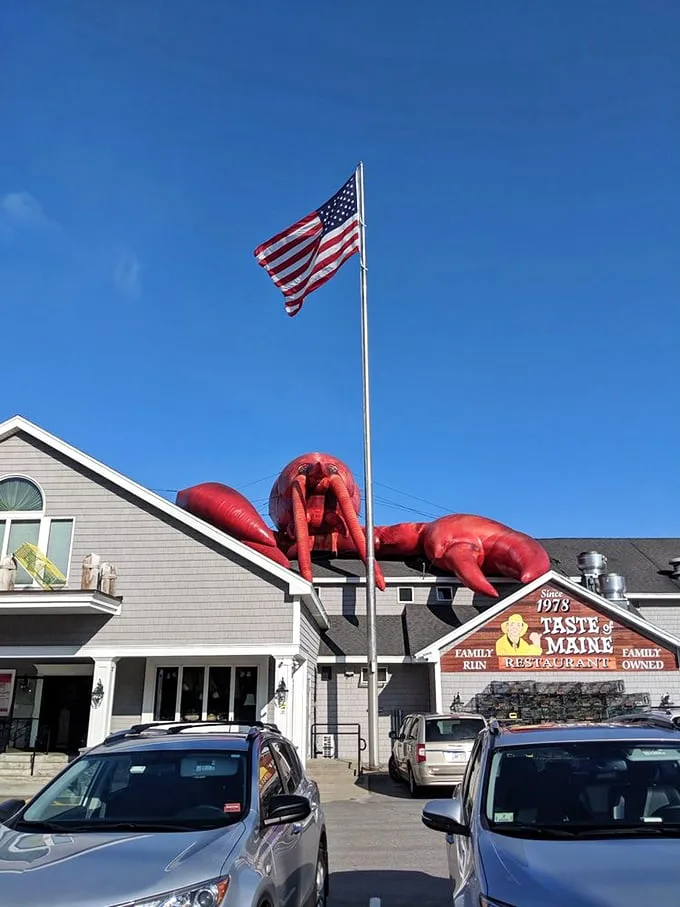taste of maine restaurant 1