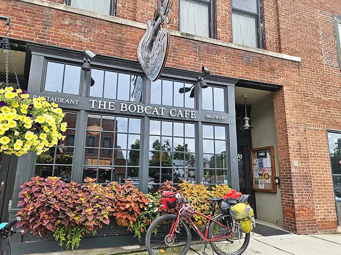 the bobcat cafe and brewery 1