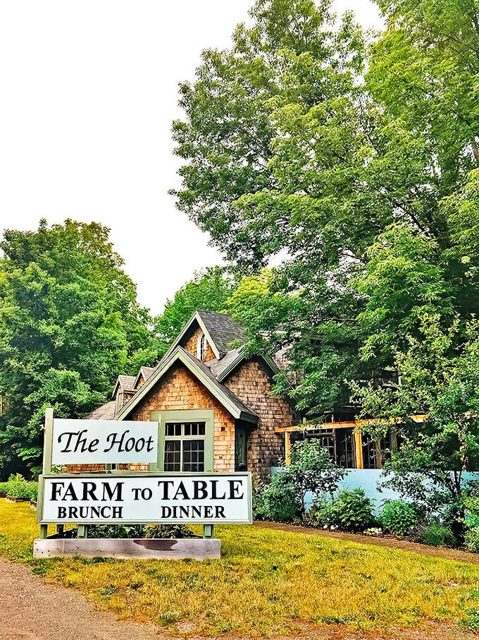 the hoot northport, me 1