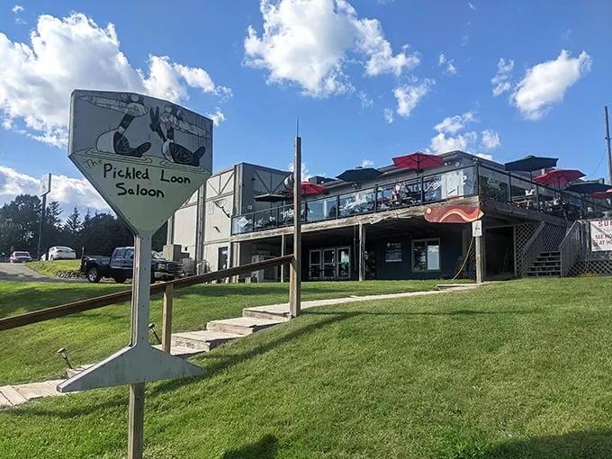 the pickled loon saloon 1