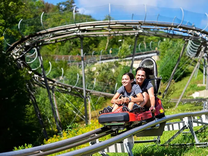 timber ripper mountain coaster at okemo mountain resort 1