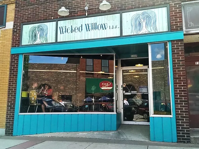 wicked willow 1