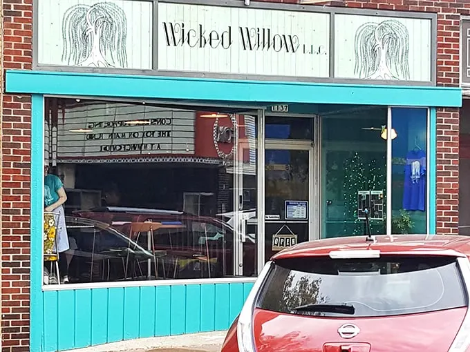 wicked willow 1