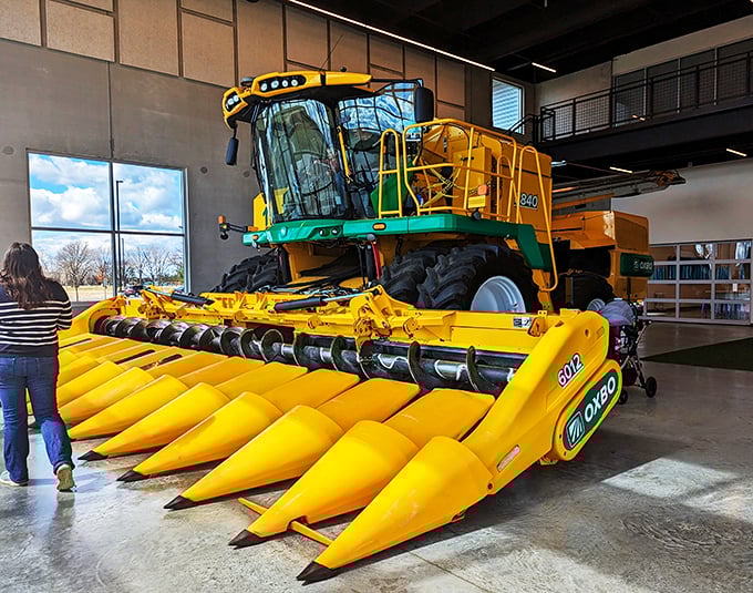 world’s largest potato masher 6