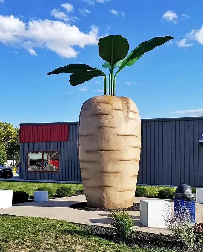 world's largest sugar beet and central park 1