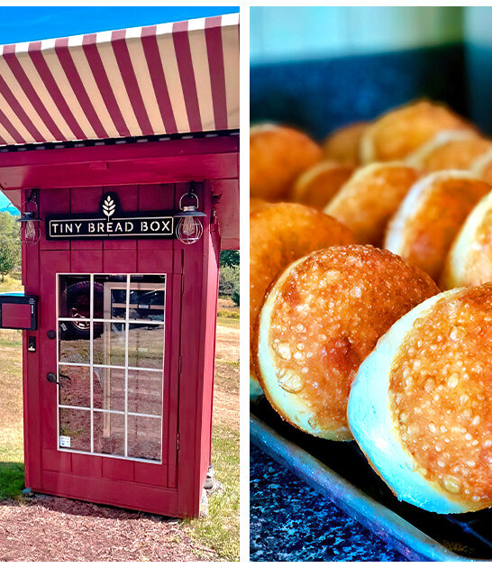 delicious-donuts-vermont FTR