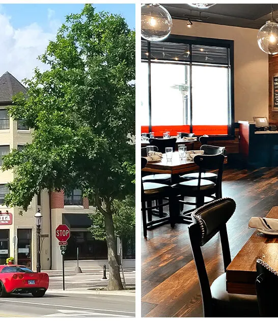 delicious-pizza-illinois-restaurant ftr